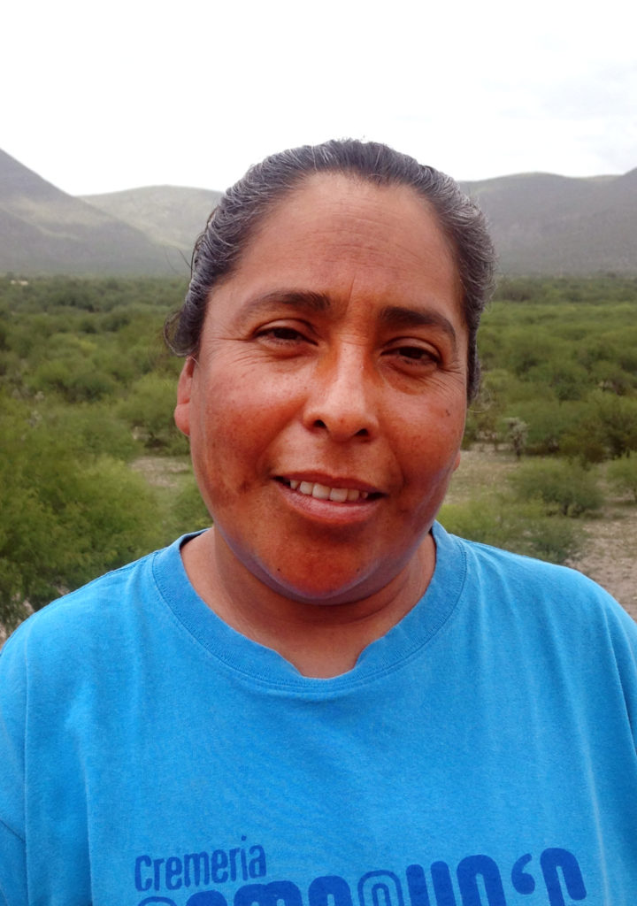 Direct Representation and Litigation Support - Centro de los Derechos ...